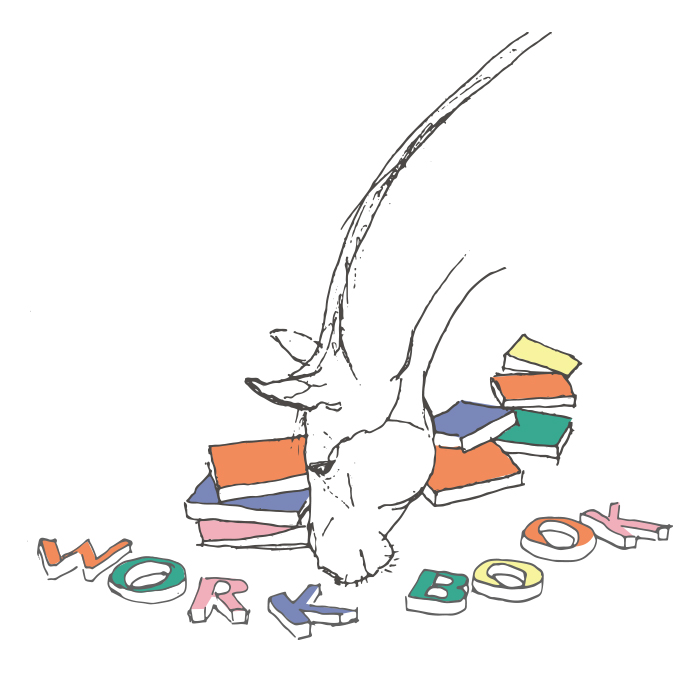 SURE FOOT Equine Stability Program® Workbook #1 – SURE FOOT